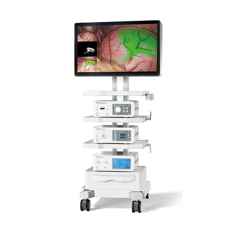 Global Medical Equipment Supplier for ICU & Surgical - DP Medical